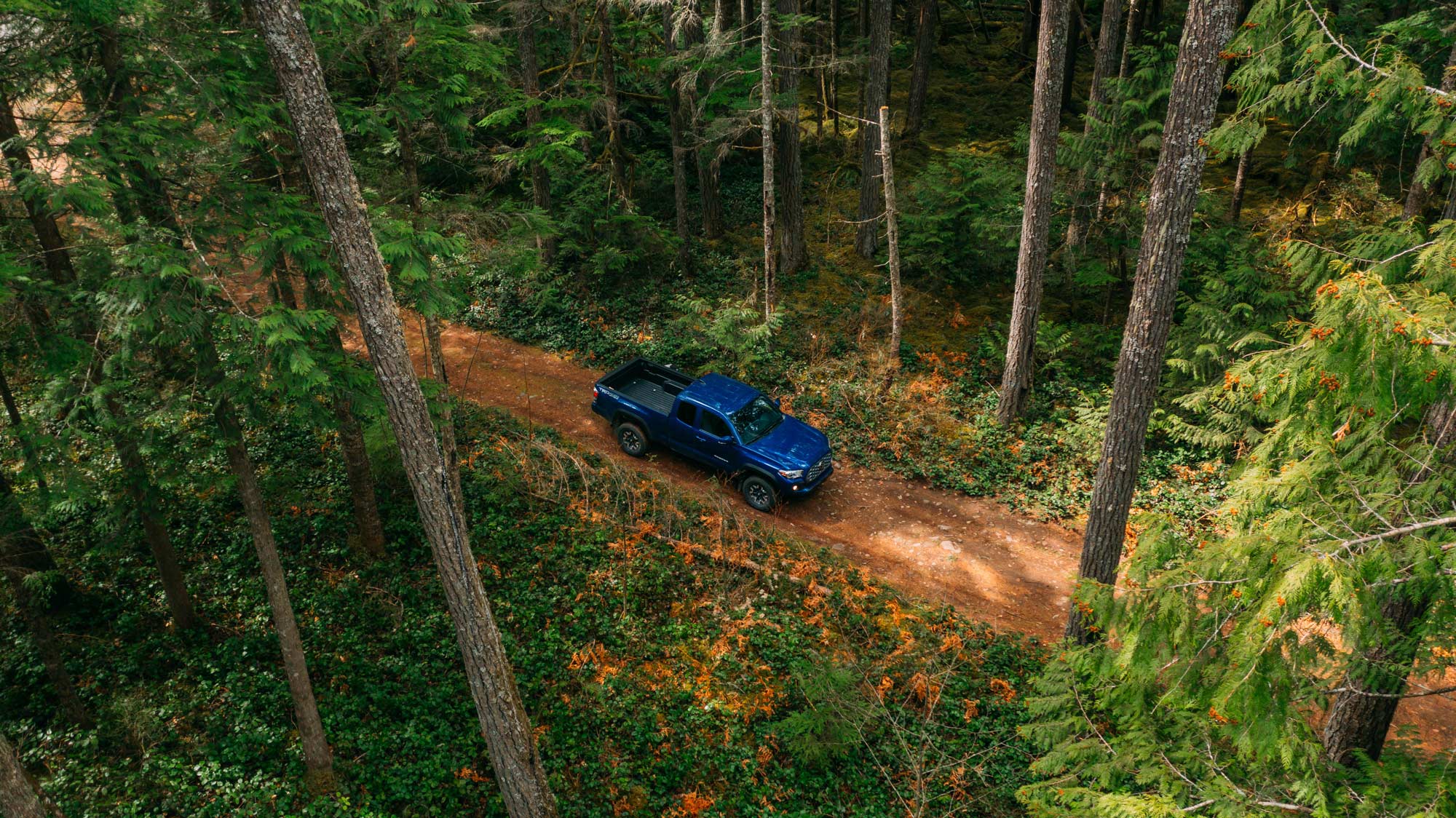 2023 Toyota Tacoma | OpenRoad Toyota Peace Arch