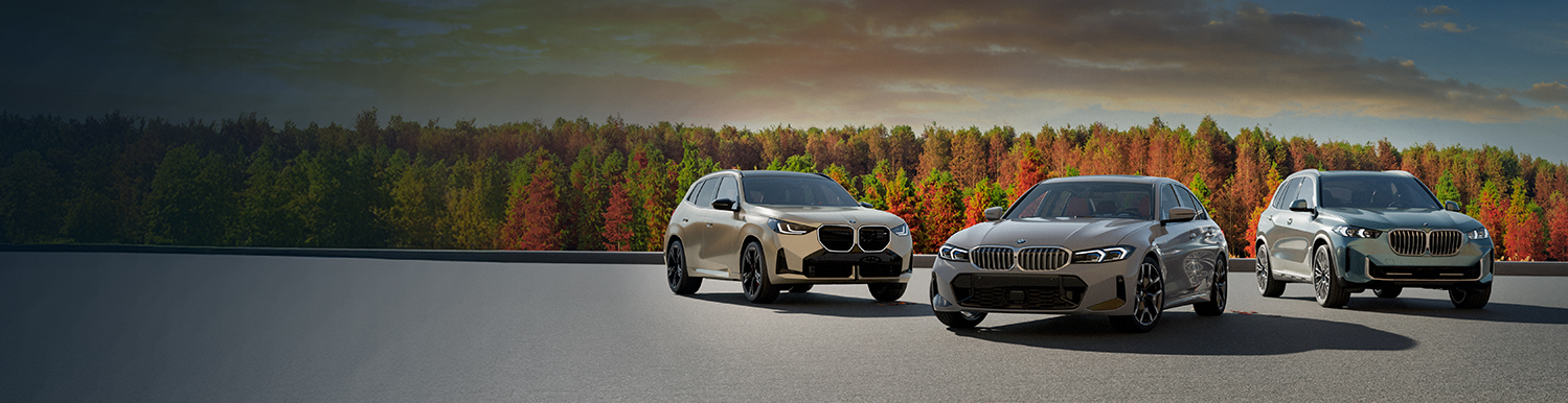 New BMW Promotions | BMW Langley